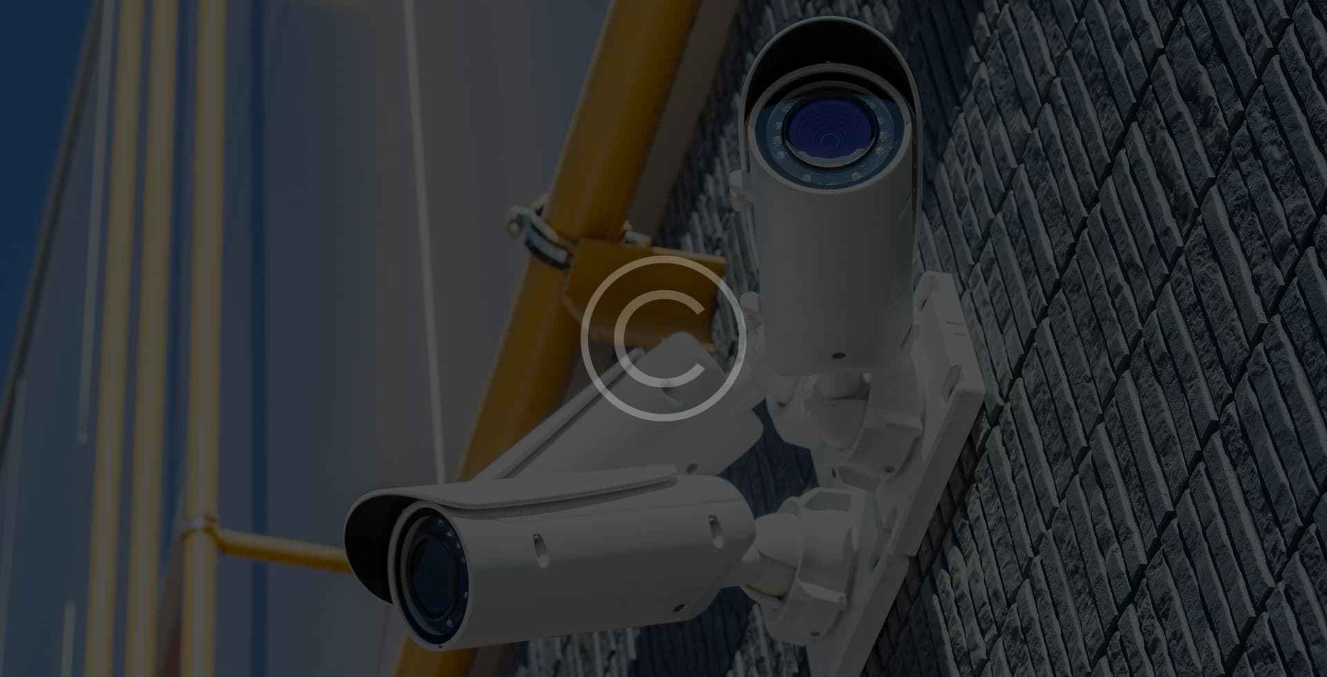 Scorpion – Scorpion Unit Security Limited